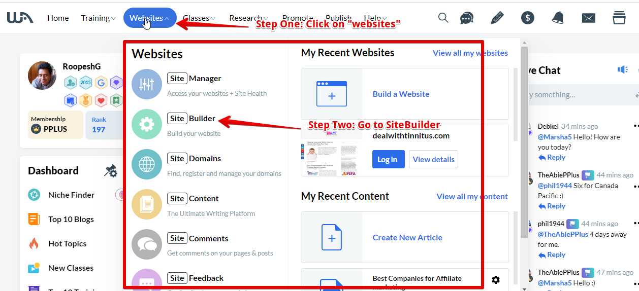 How I Built A Free Website With SiteBuilder | RoopeshGovind